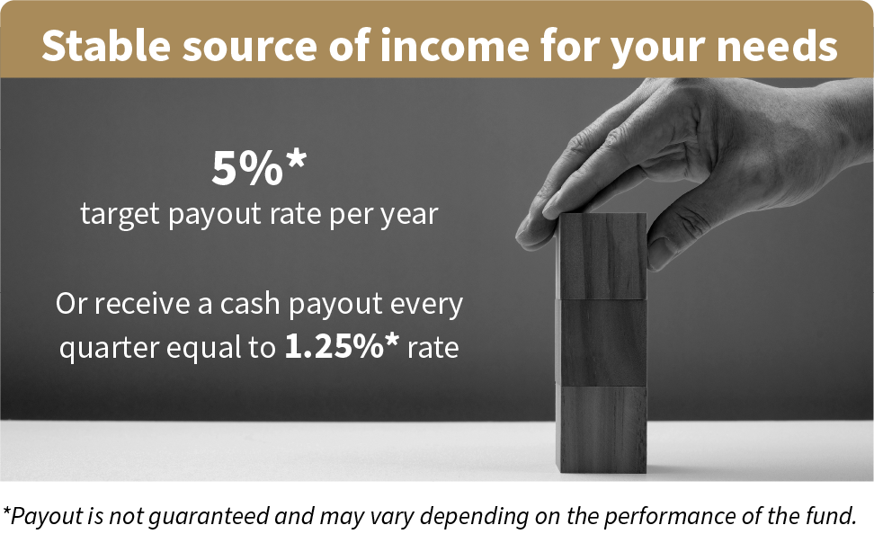 Global Equity Income Paying Fund - AXA Philippines